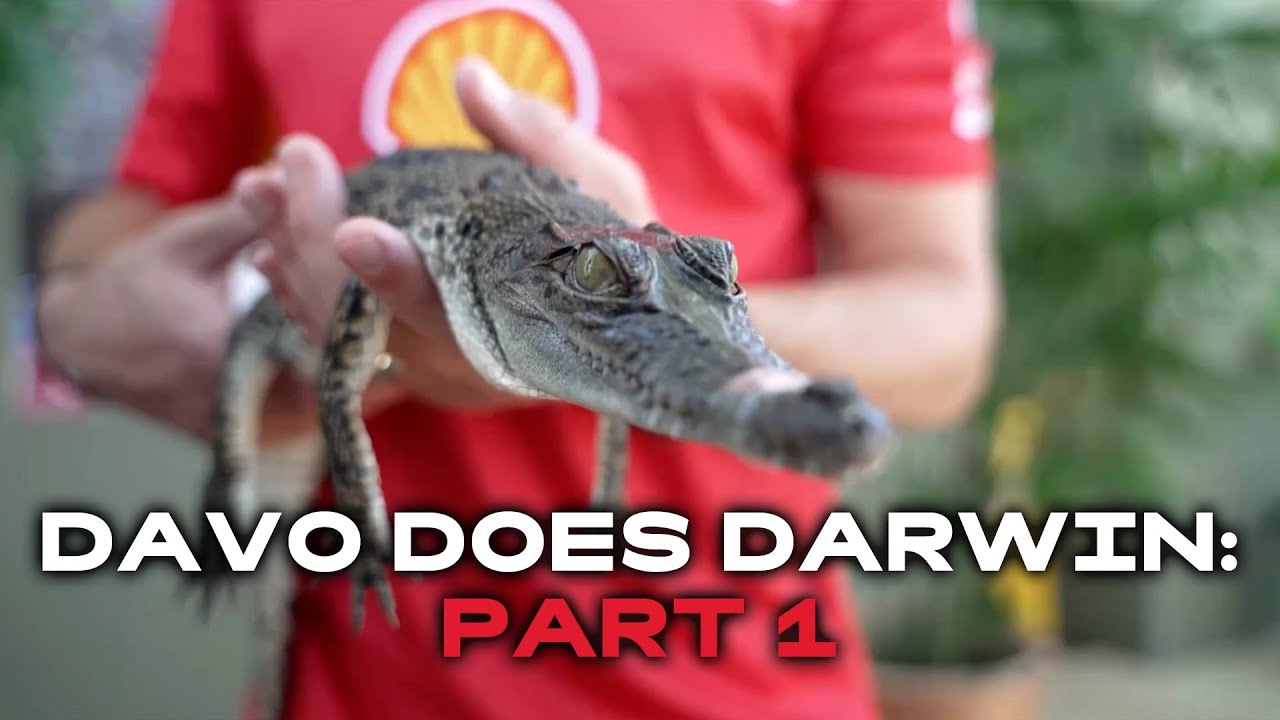 Davo Does Darwin Part 1 - Crocs, National Parks and Jet Ski's | 2024 ...