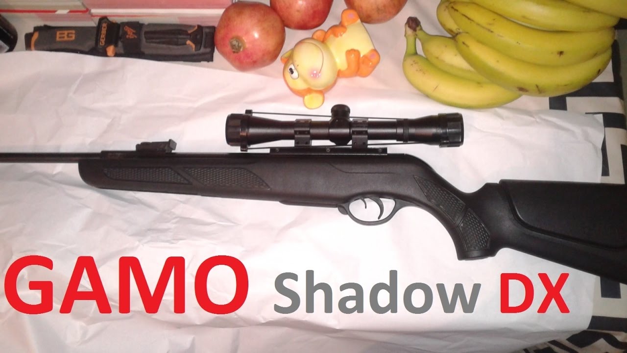 [Review] GAMO Shadow DX .25 cal - Air Rifle - YouTube