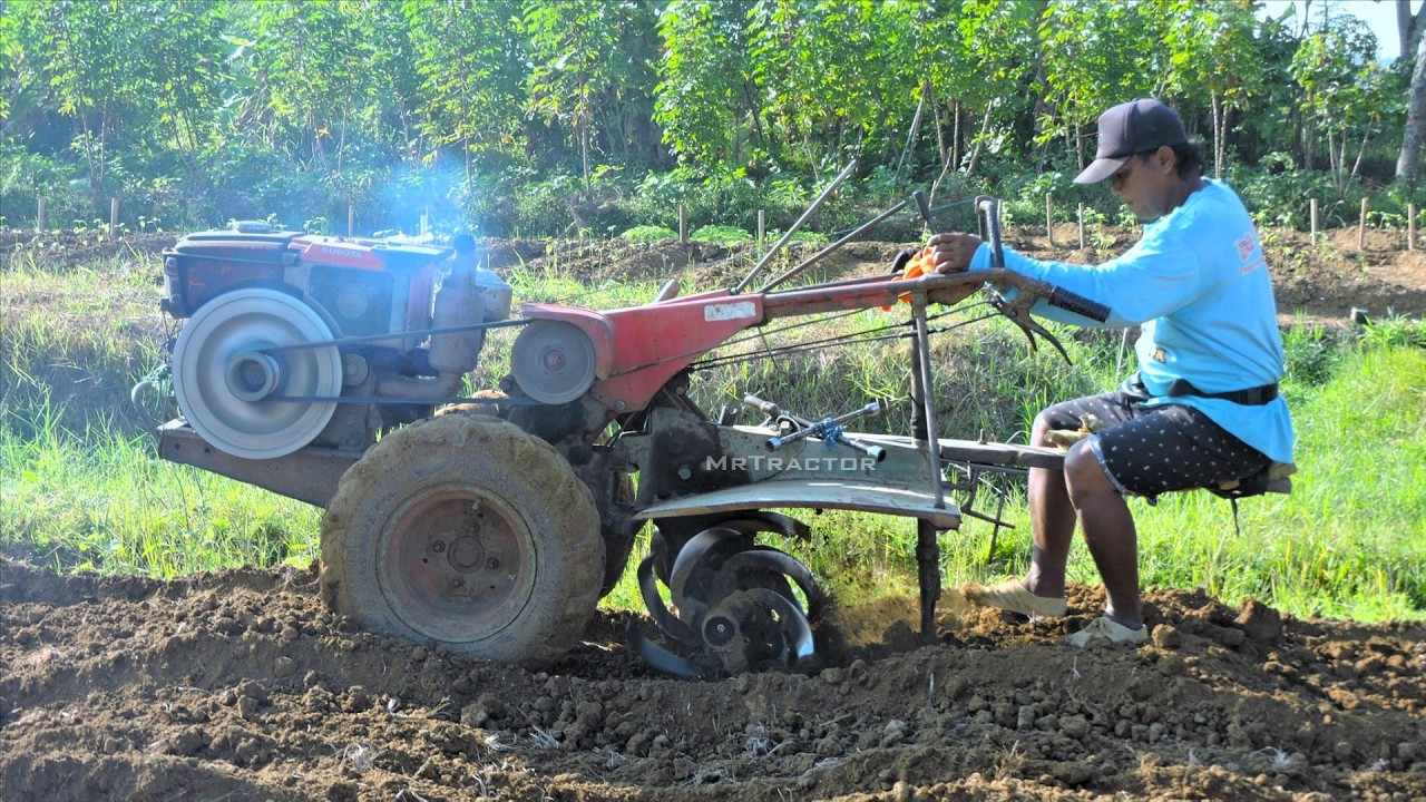 Cara Cepat Buat Bedengan Guludan Tanaman Cabai Pakai Traktor Rotari ...