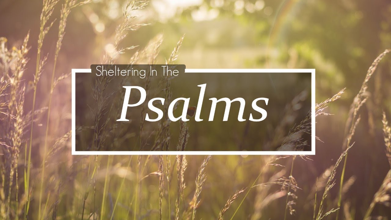 Sheltering In The Psalms: The Wisdom of Knowing that God Knows You ...