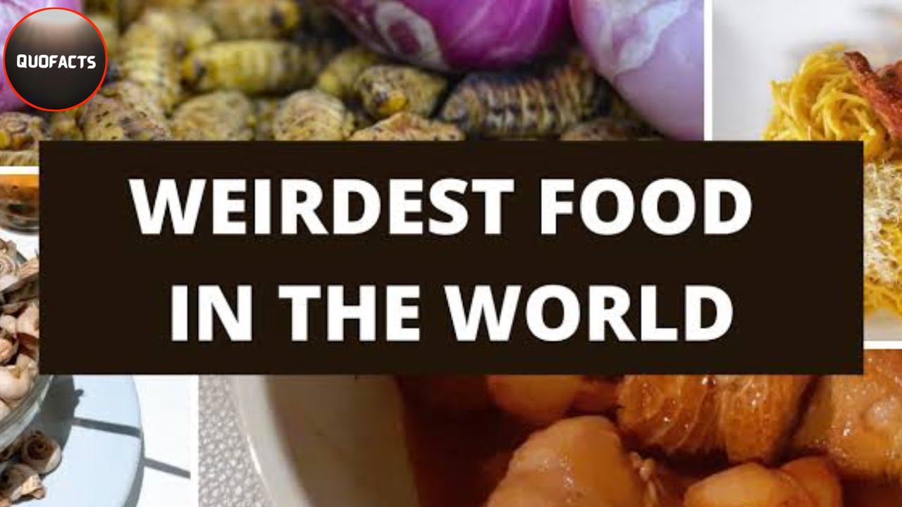 Weird Food In The World That You Won’t Believe on दुनिया में खाए जाने ...