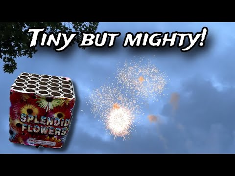 Splendid Flowers 25s Firework - YouTube