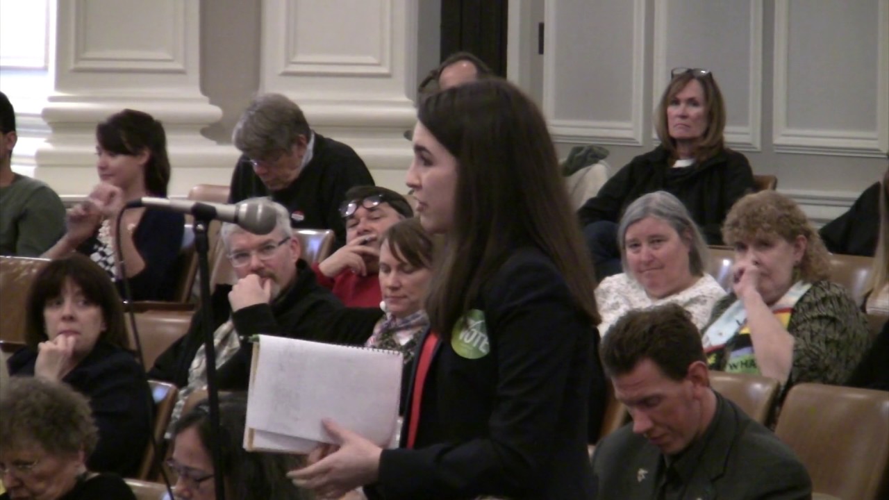 NH House Election Law Hearing on SB3 - Charlie Blatt Testimony - YouTube
