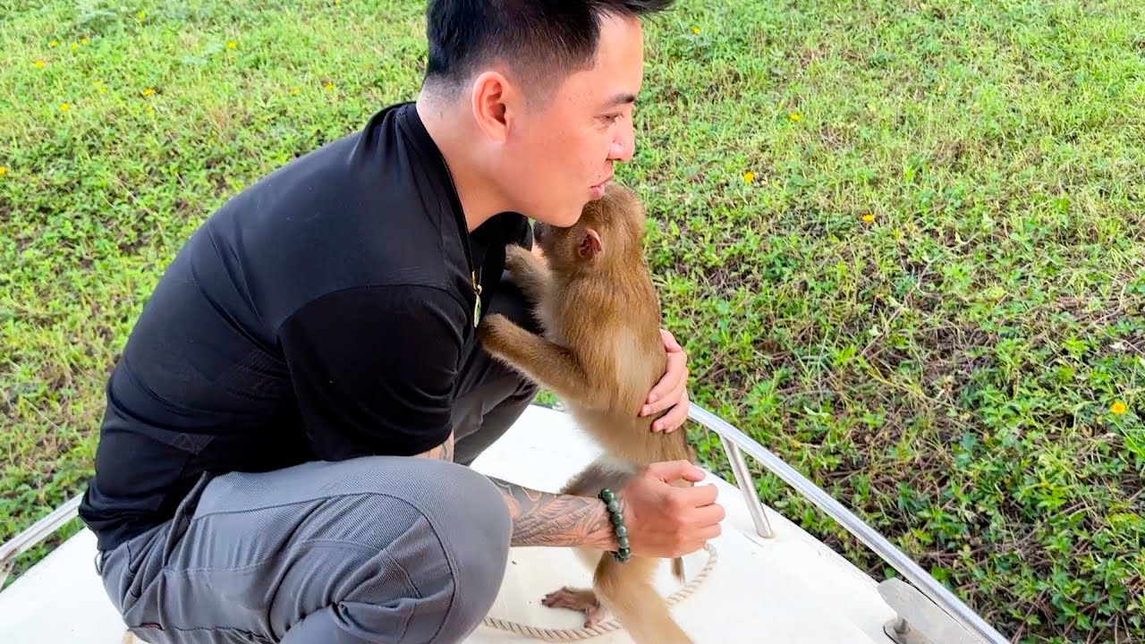 Monkey Kaka cried and wanted to go home with her father - YouTube