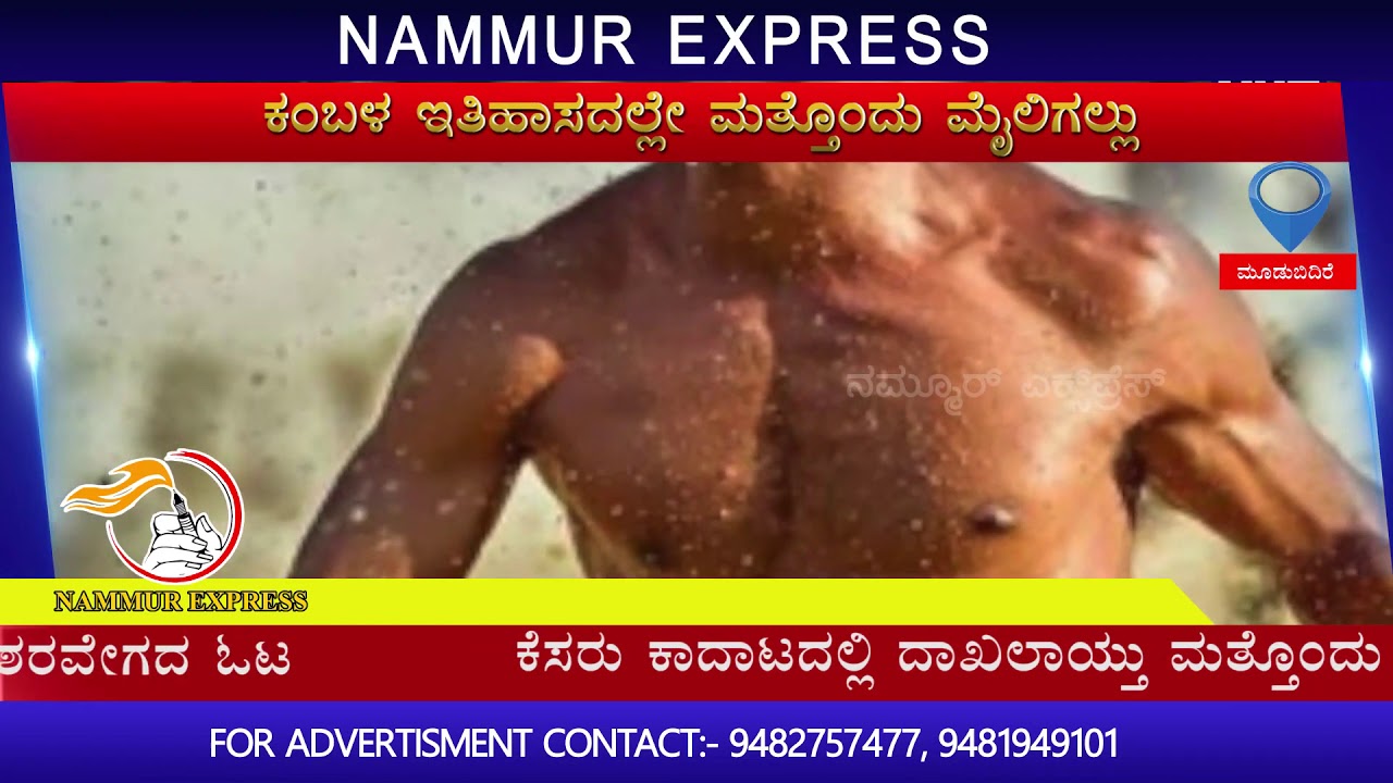 NAMMUR EXPRESS KARAVALI ಕಂಬಳ ಇತಿಹಾಸದಲ್ಲೇ ದಾಖಲೆಗಳ ಲೈನ್‌ಅಪ್ ಕೆಸರು ಕಾದಾಟದಲ್ಲಿ ಮತ್ತೊಂದು ಮೈಲಿಗಲ್ಲು ...