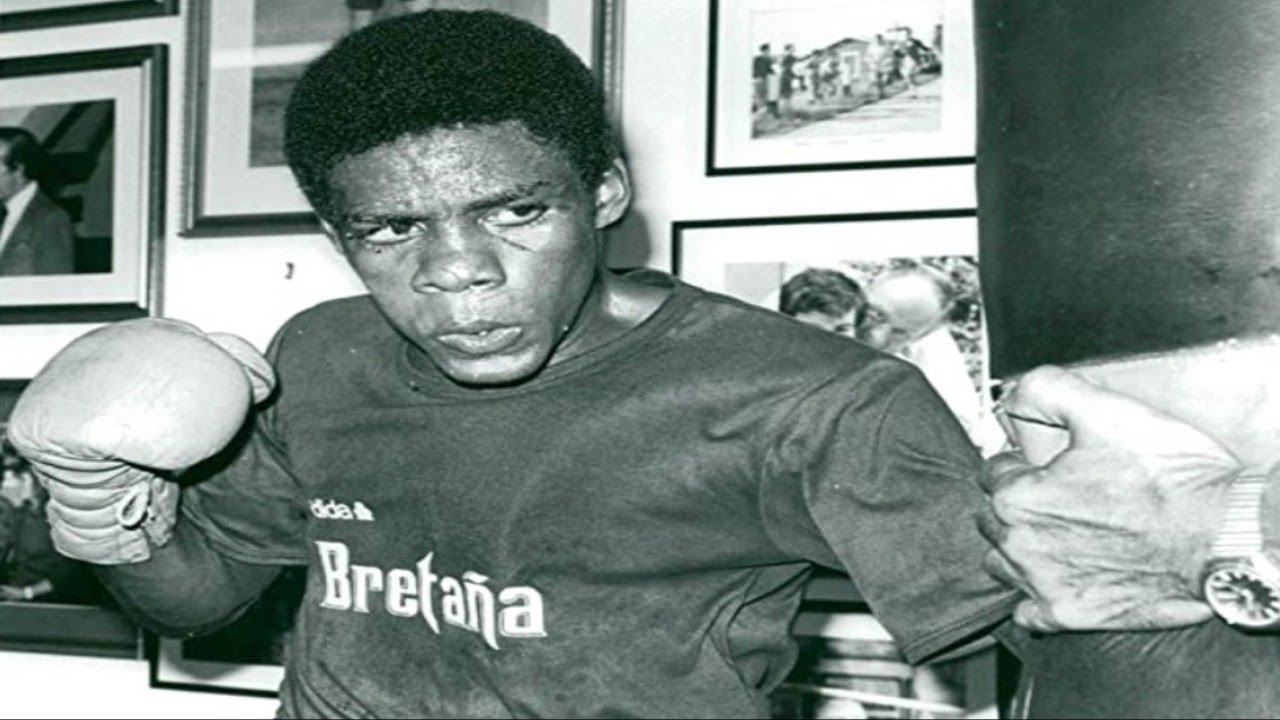 Fidel Bassa - Supreme Boxer/Puncher (Highlight Reel) - YouTube