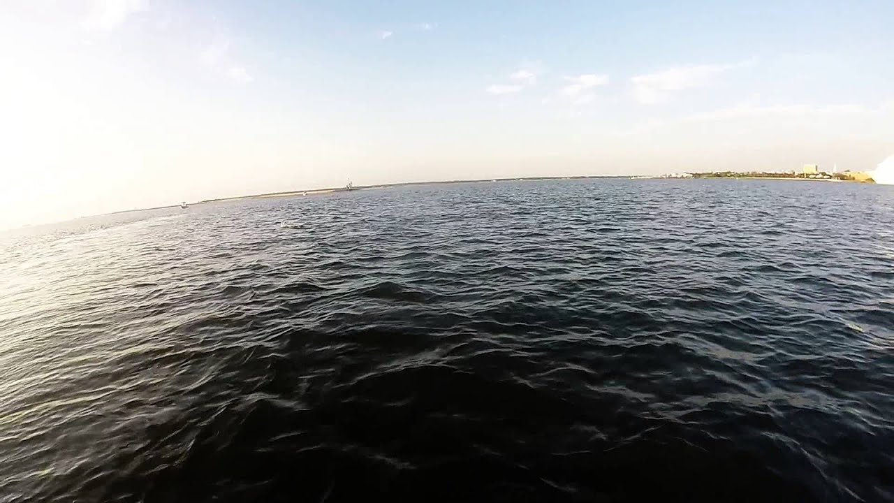 Topwater Bluefish, and Redfish- Charleston, SC 8-22-15 - YouTube