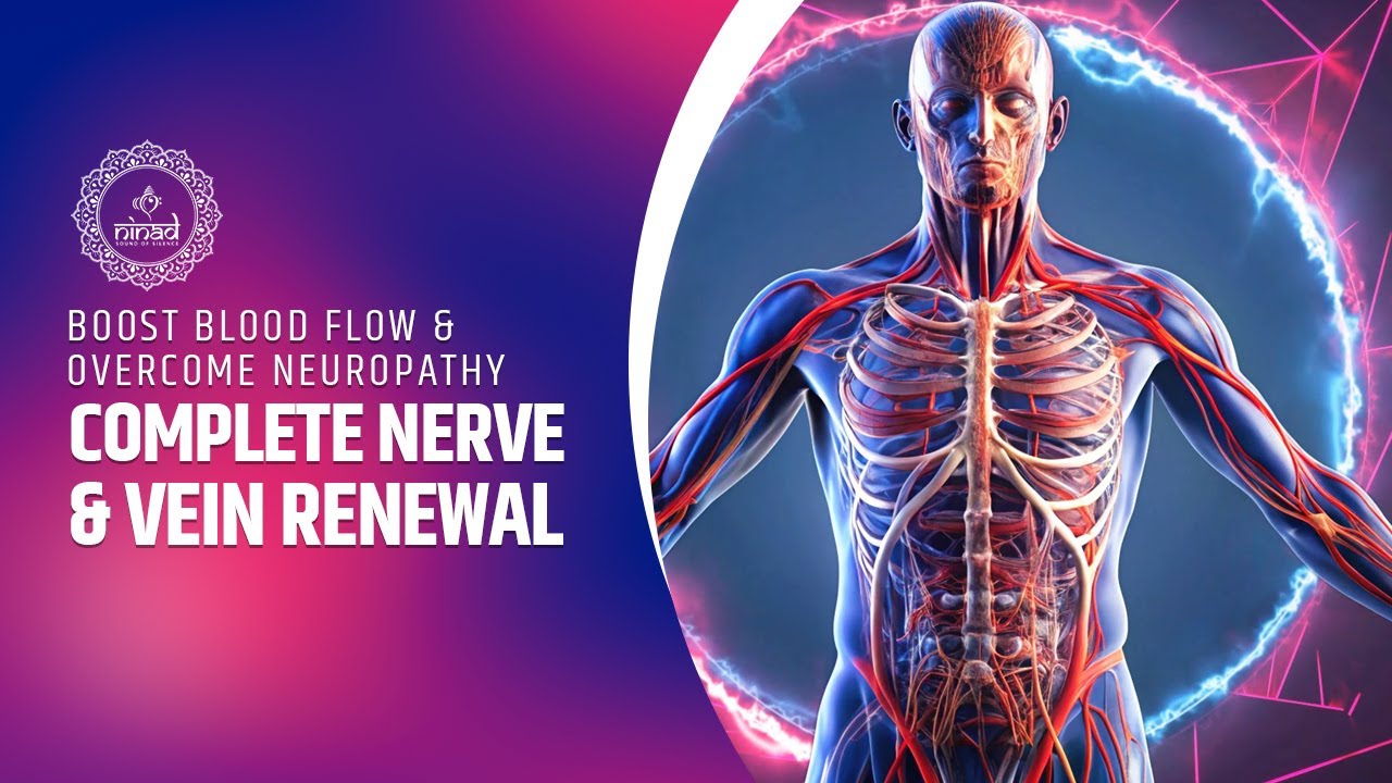 Complete Nerve and Vein Renewal: Boost Blood Flow and Overcome ...