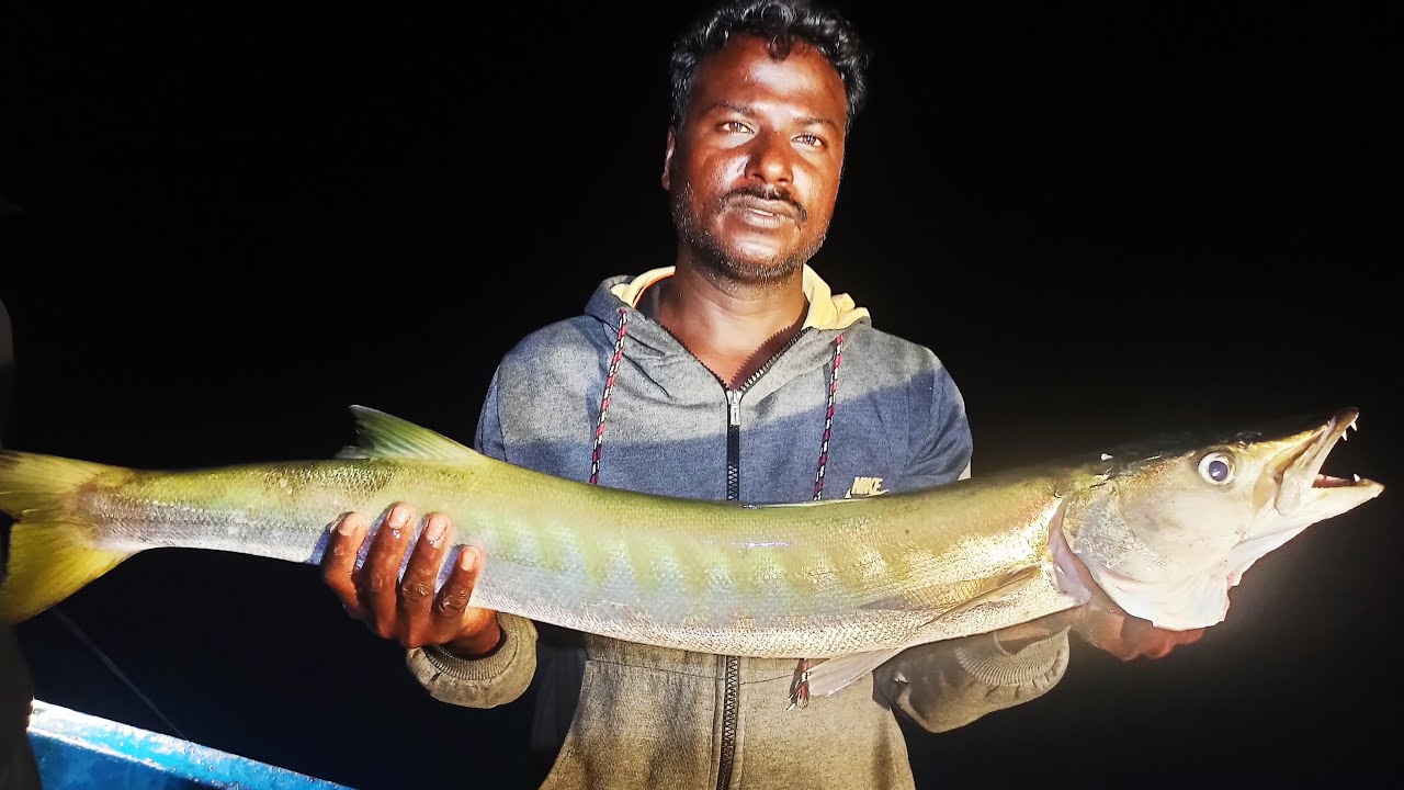 Night Fishing - Barracuda & King Fish Caught in Sea - YouTube