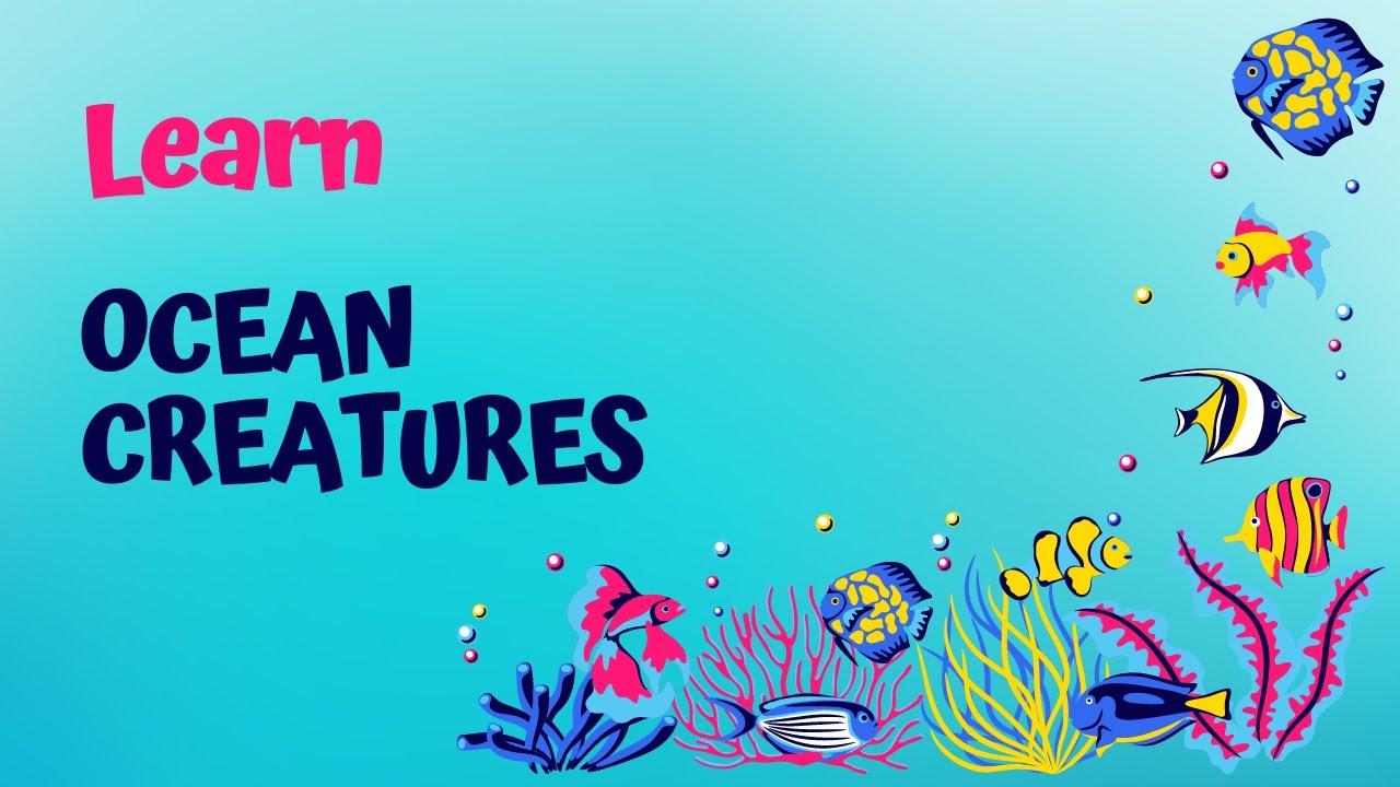 OCEAN CREATURES ADVENTURE - YouTube