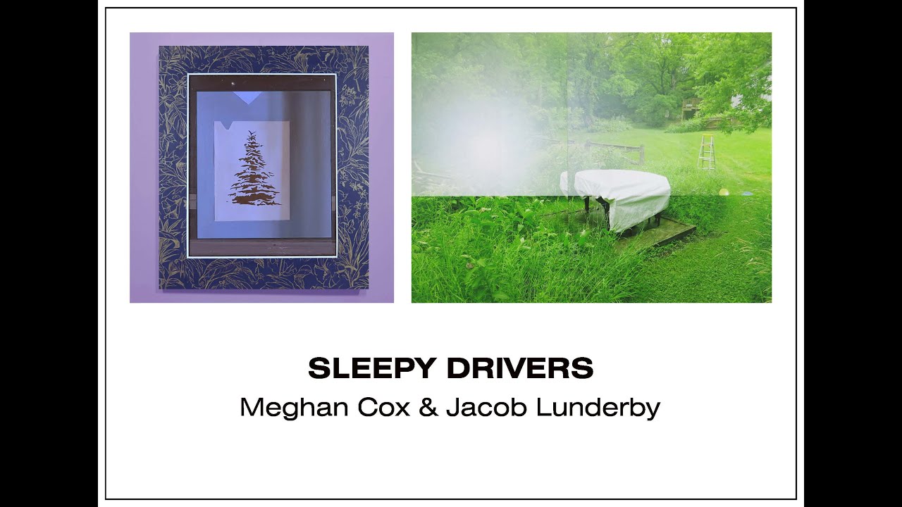 Virtual Tour & Talk for the exhibition "Sleepy Drivers" February 15 ...