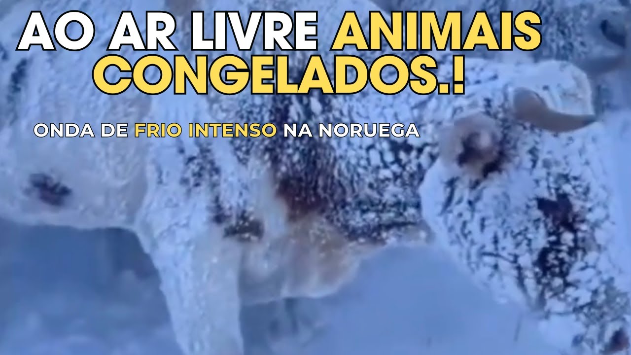 PREPARE-SE PARA A ONDA DE FRIO INTENSO AQUI NA NORUEGA VOCÊ PODE FICAR ...