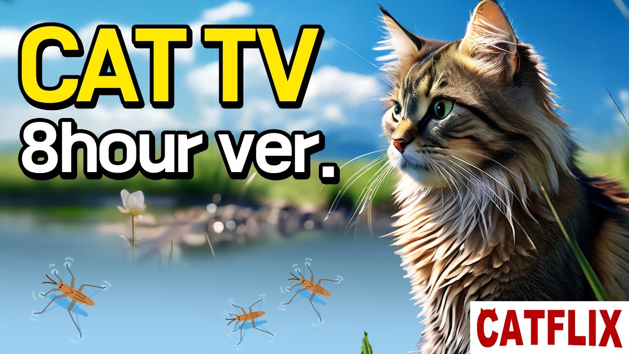 CATFLIX_2 | 고양이가 좋아하는 영상 | cat videos for cats to watch - YouTube