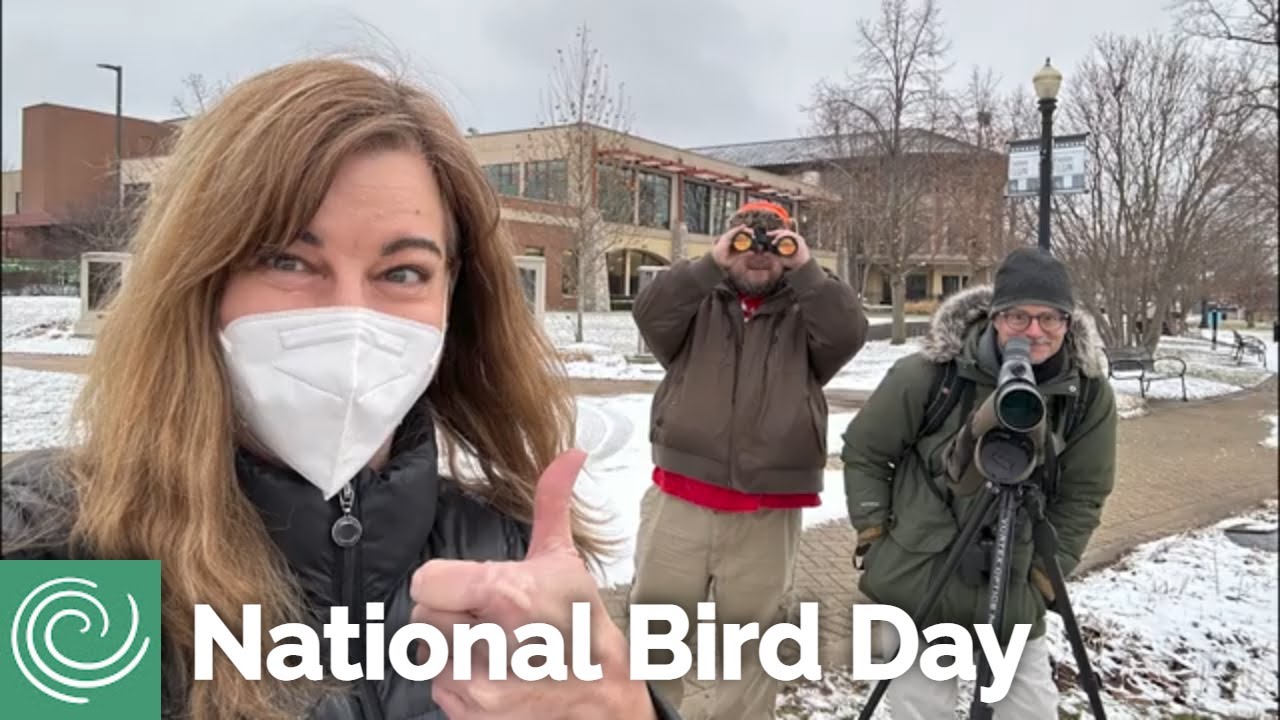 National Bird Day: Birding the Fox River - YouTube