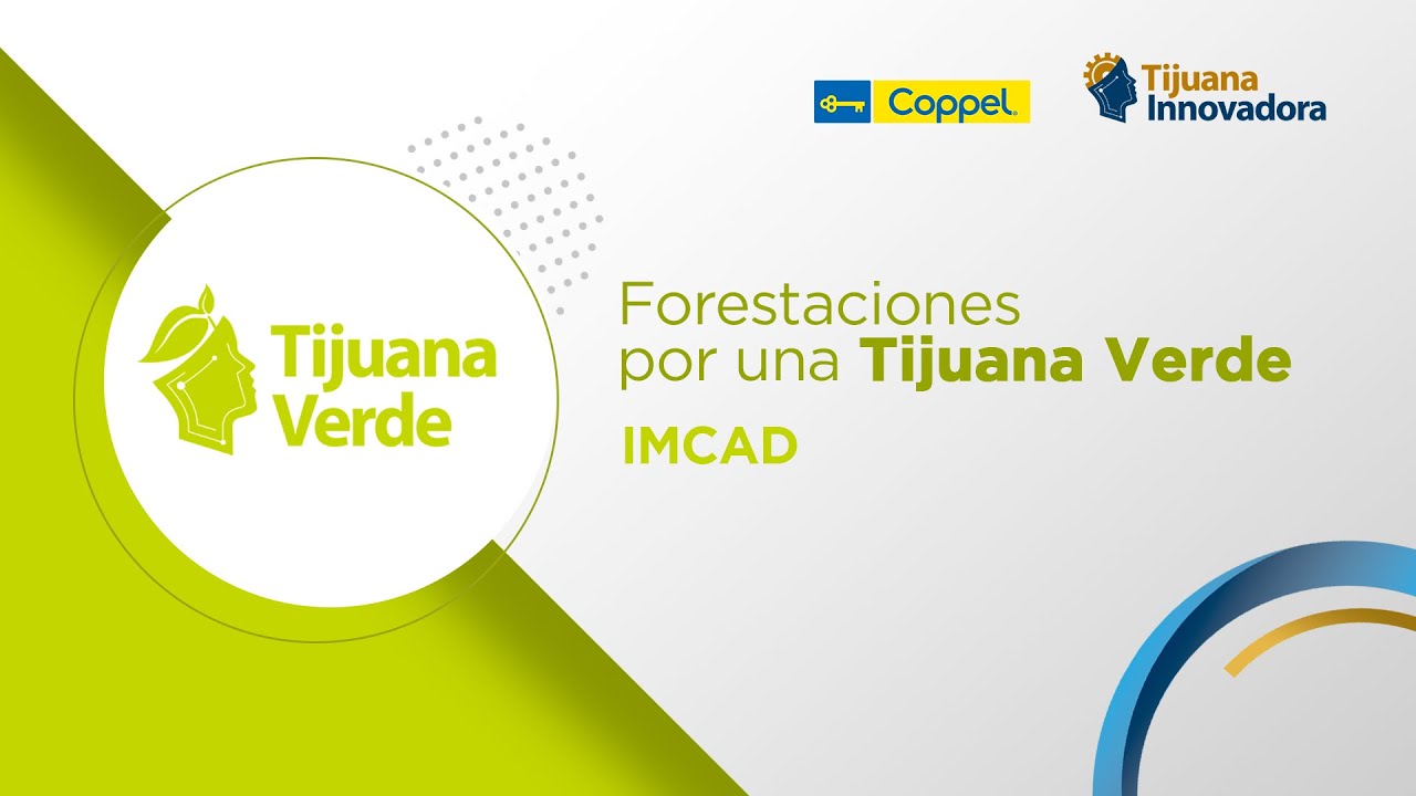 Forestación IMCAD "Una semilla contra las adicciones" - Tijuana Verde ...