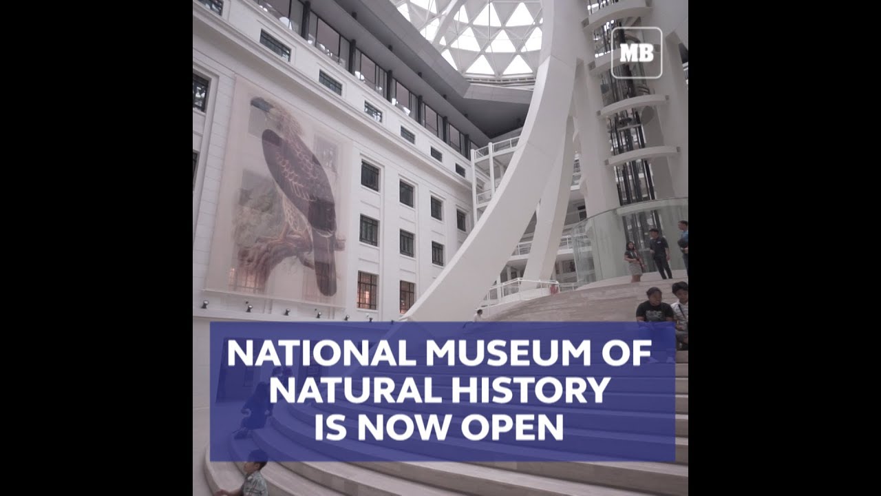 National Museum for Natural History officially opens today - YouTube