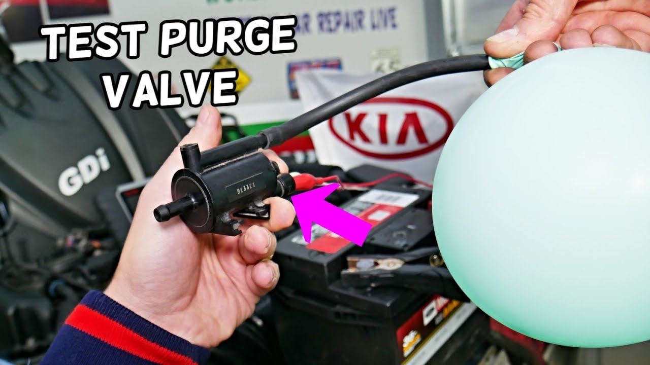 HOW TO TEST PURGE CONTROL VALVE ON KIA SPORTAGE, KIA SORENTO - YouTube