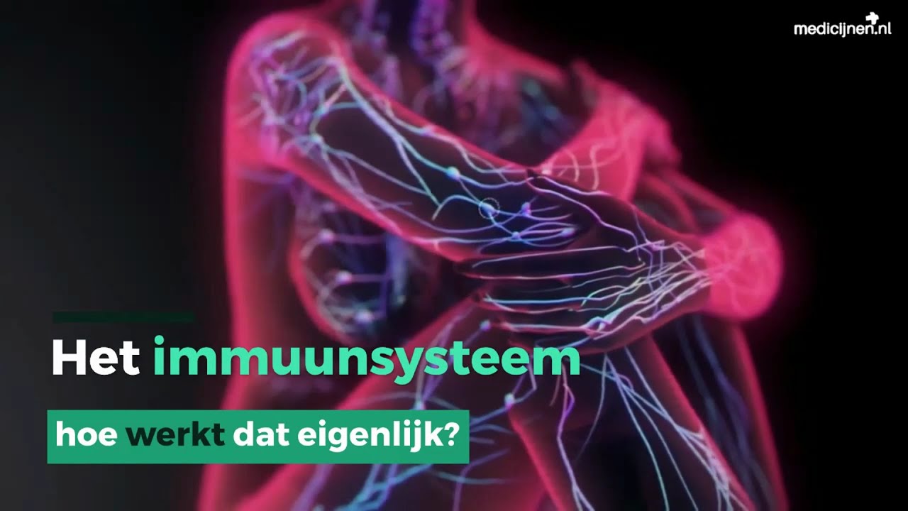 Het Immuunsysteem Hoe Werkt Dat Eigenlijk? - YouTube