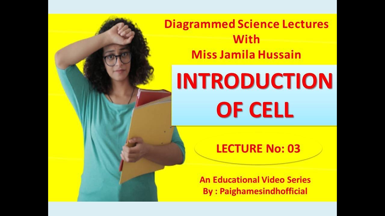 WHAT IS CELL | TYPES OF CELL | STRUCTURE AND FUNCTIONS | HIERARCHY OF ...