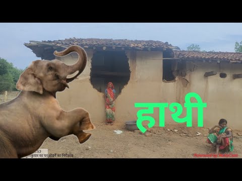 wild elephant in Village #elephant hathiyon ka atank || - YouTube