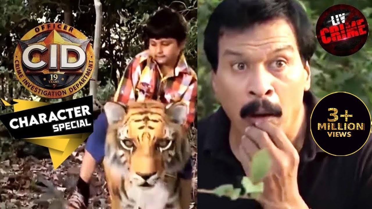 Character Special | सीआईडी | CID | एक Tiger कैसे मान रहा है इस बच्चे की ...