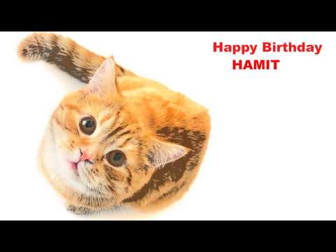 Hamit  Cats Gatos - Happy Birthday