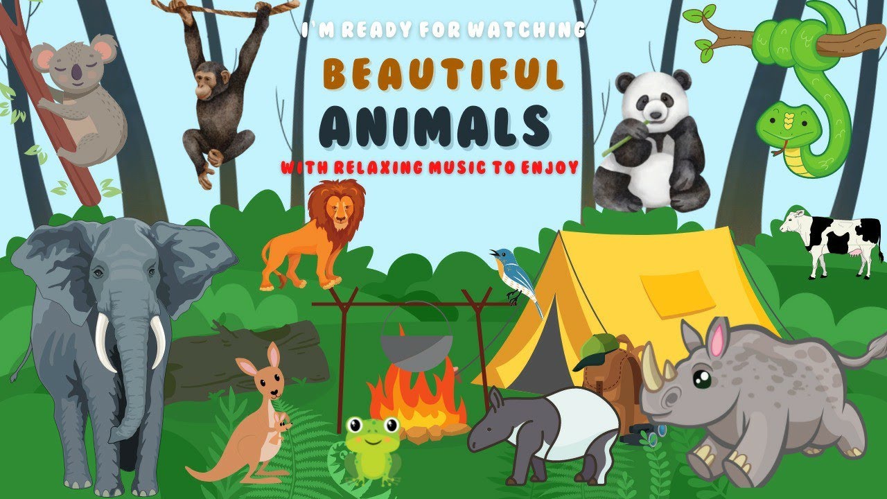 Beautiful Animals and Relaxing Music to Enjoy - YouTube