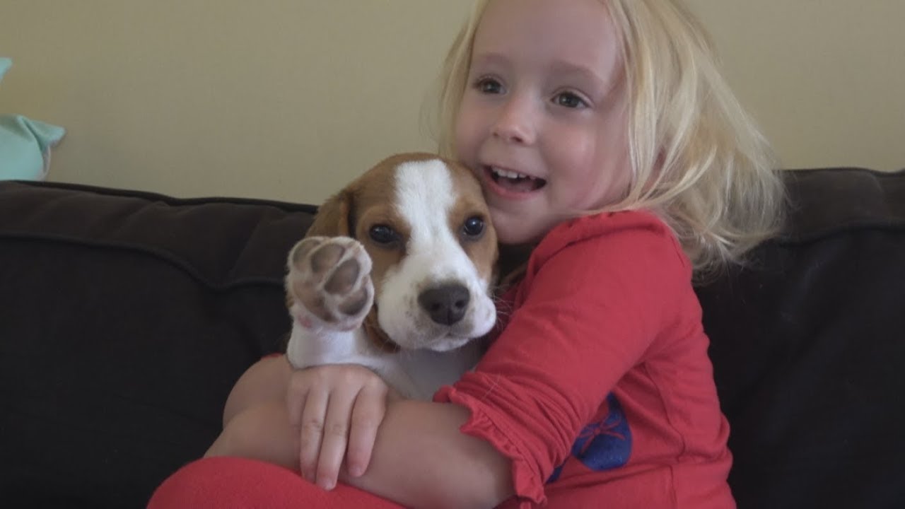 Puppy life is better with a child | Growing up with puppy - YouTube