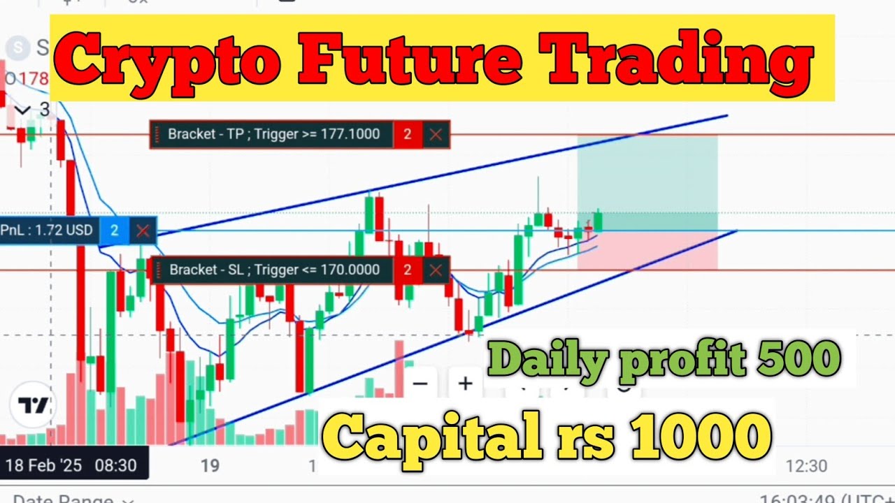 Capital rs 1000 || Daliy profit 500-600 || Crypto Future Trading ...