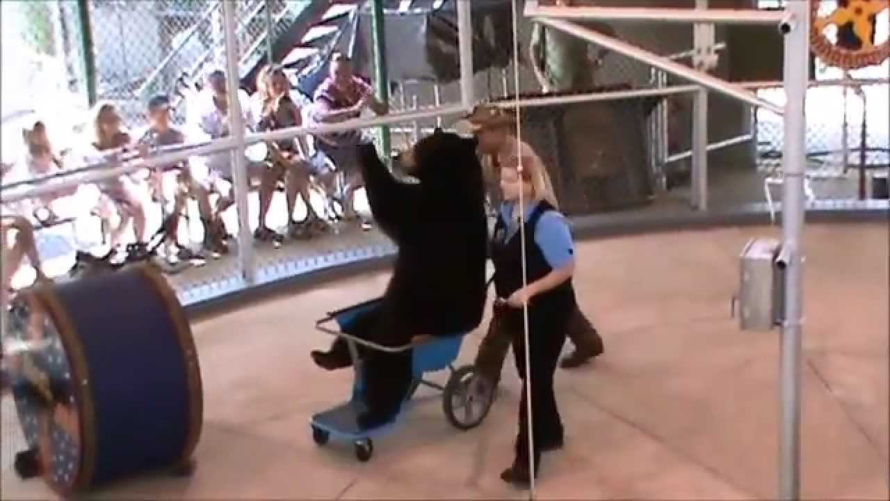 2014 - Clarks Trading Post - The Bear Show Echo & Tula - YouTube