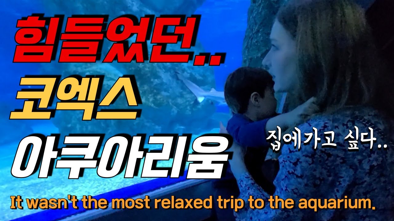 It wasn't the most relaxed trip to the aquarium | COEX Aquarium| Korean ...
