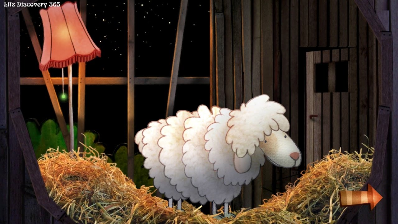 Good Night Animals Nighty Night - Life Discovery - YouTube