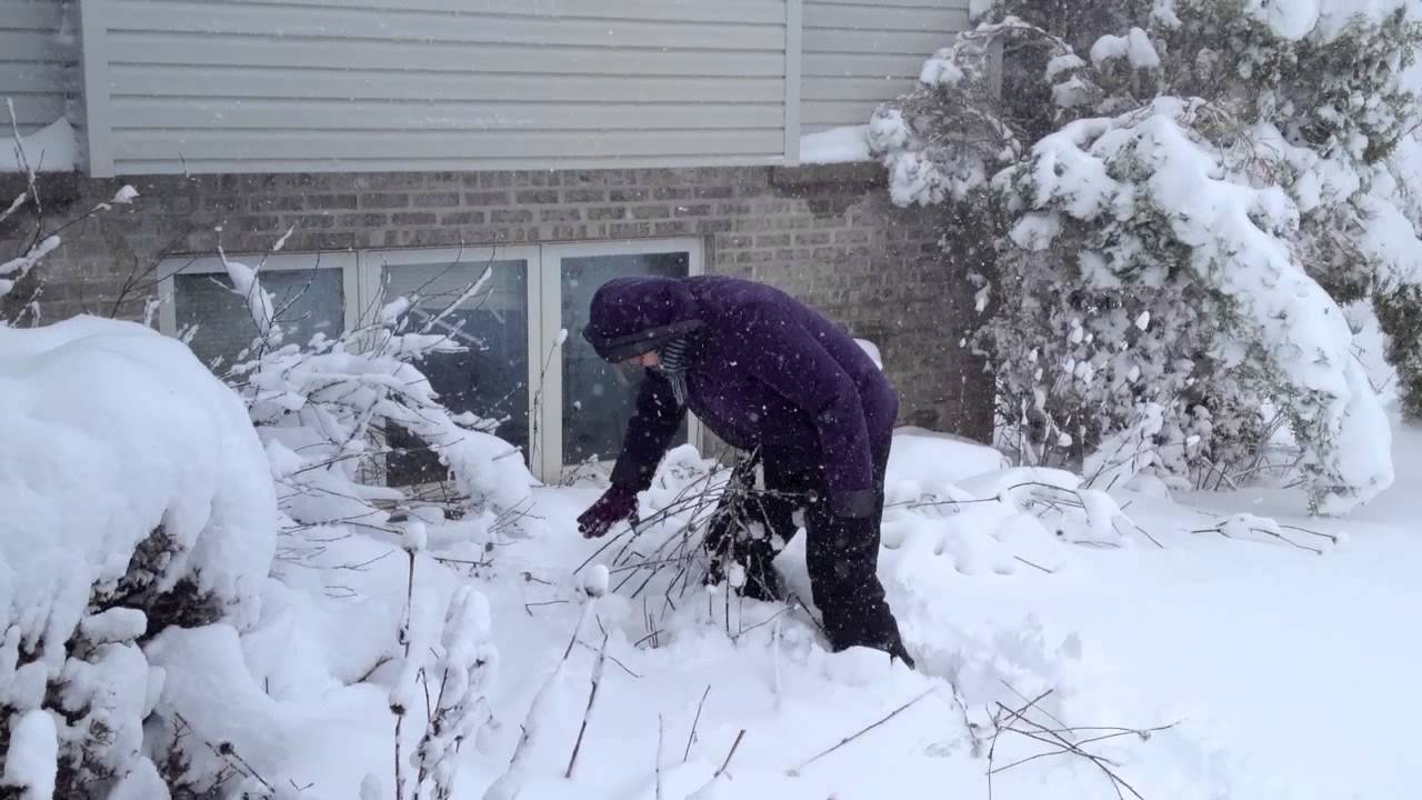 A Beautiful May in Minnesota - YouTube