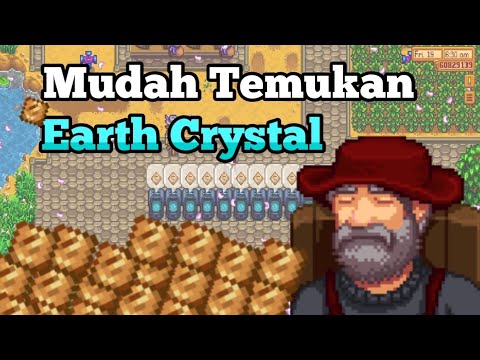 2 Cara Mudah Menemukan Earth Crystal stardew valley - YouTube