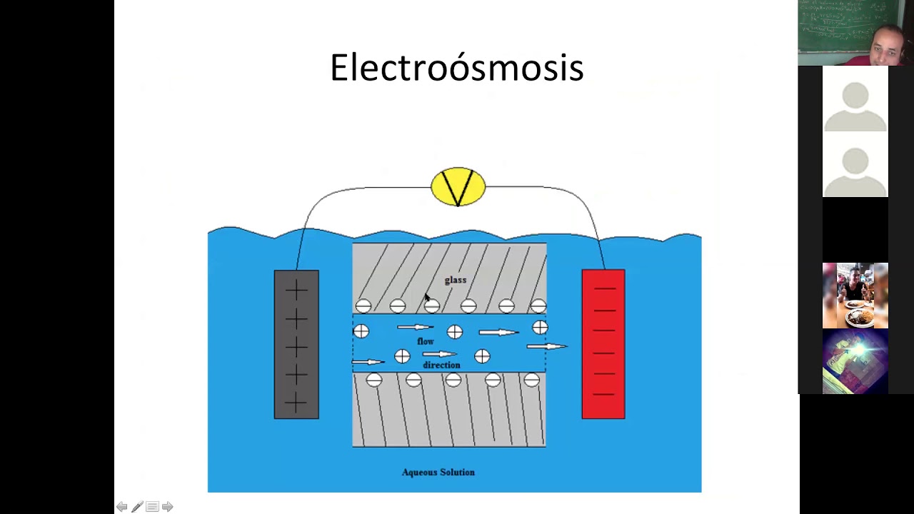 Electrodiálisis y electroósmosis - YouTube