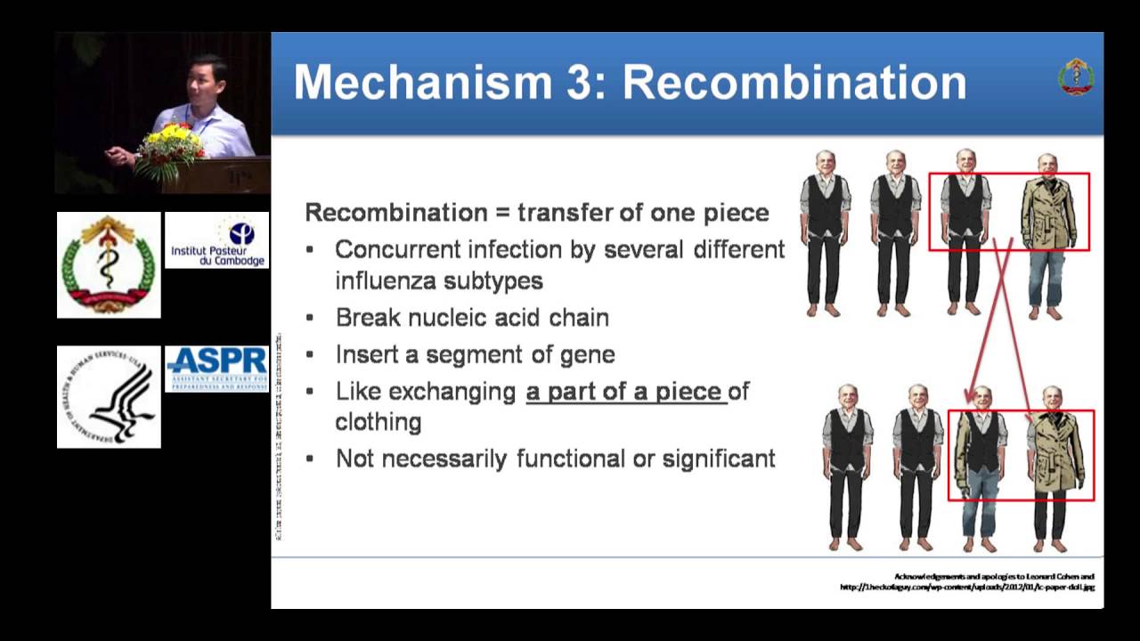 Basic science - Mutation, reassortment, recombination, drift and shift ...