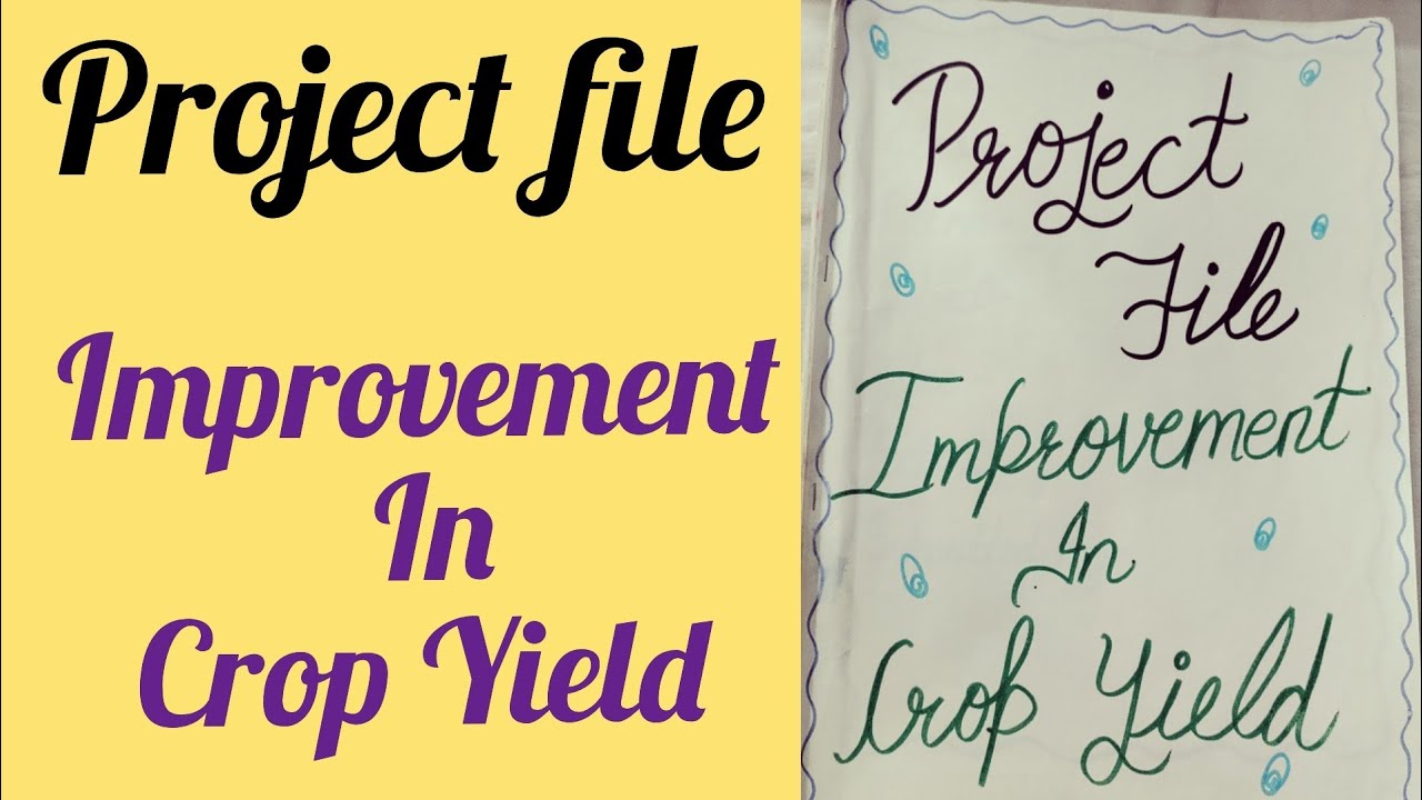 Improvement in crop yield project file/science project file ...