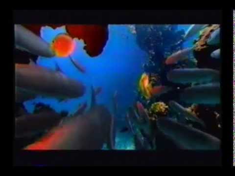 Optimax Gold "Fish" commercial (2001) - YouTube