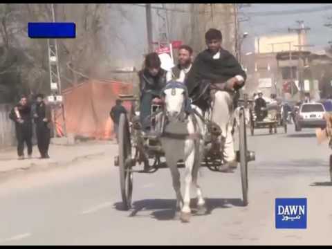 Traditional Transport Tanga in Peshawer - YouTube