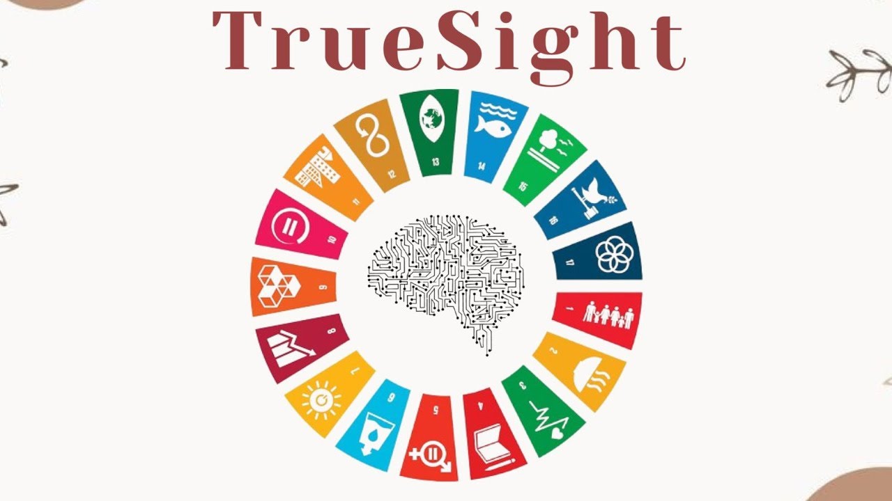 A Discussion on TrueSight | Deepfake detection | #SDG - YouTube