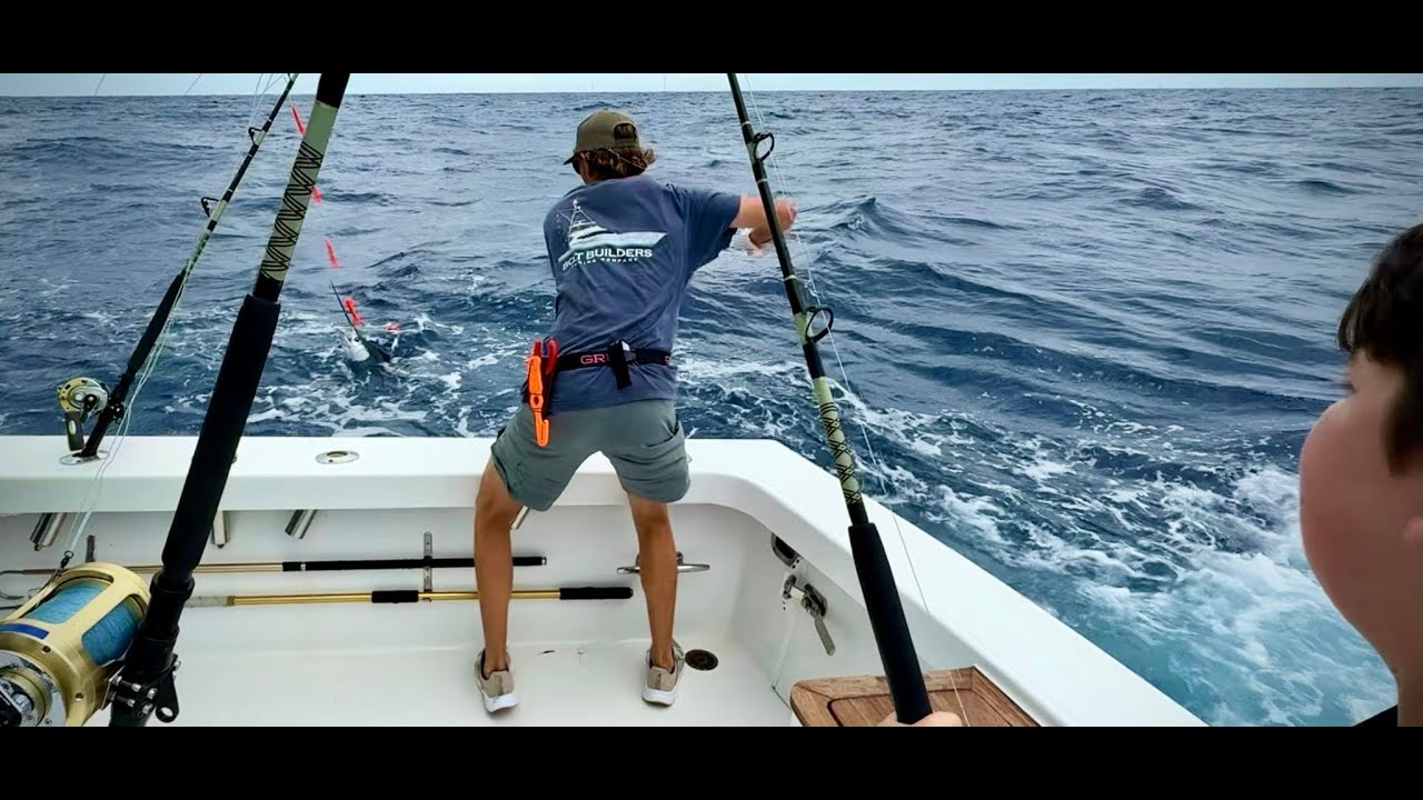 My Son Catches Sailfish Off Cape Hatteras, NC With Chaser Sportfishing ...