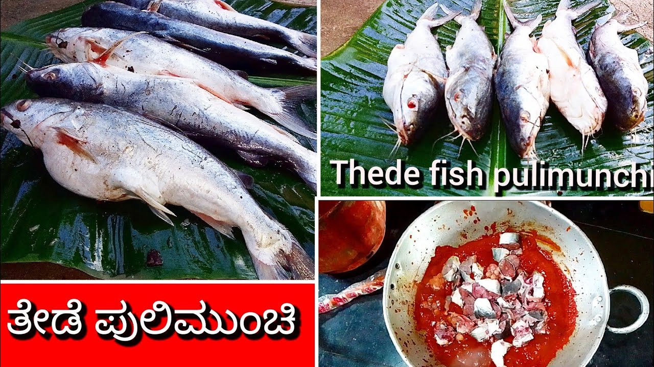 ತೇಡೆ ಪುಲಿಮುಂಚಿ ಹೀಗೆ ಮಾಡಿ|| Thede pulimunchi || Maguru spicy recipe ...
