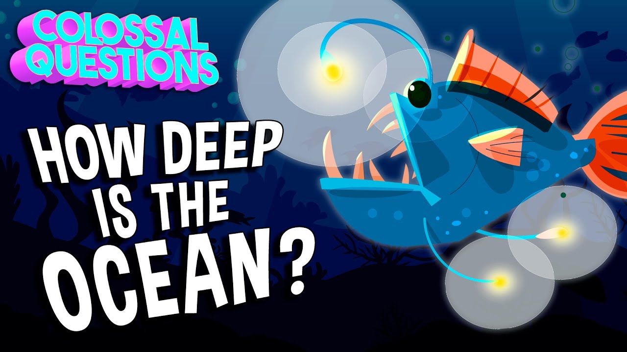 How Deep Is The Ocean? | COLOSSAL QUESTIONS - YouTube