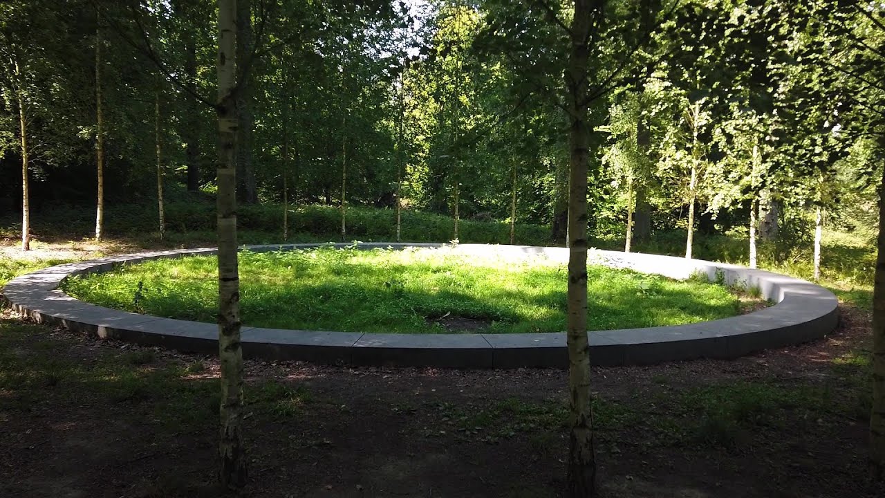 Sonian Forest (Foret de Soignes) Summer 2020 4K - YouTube