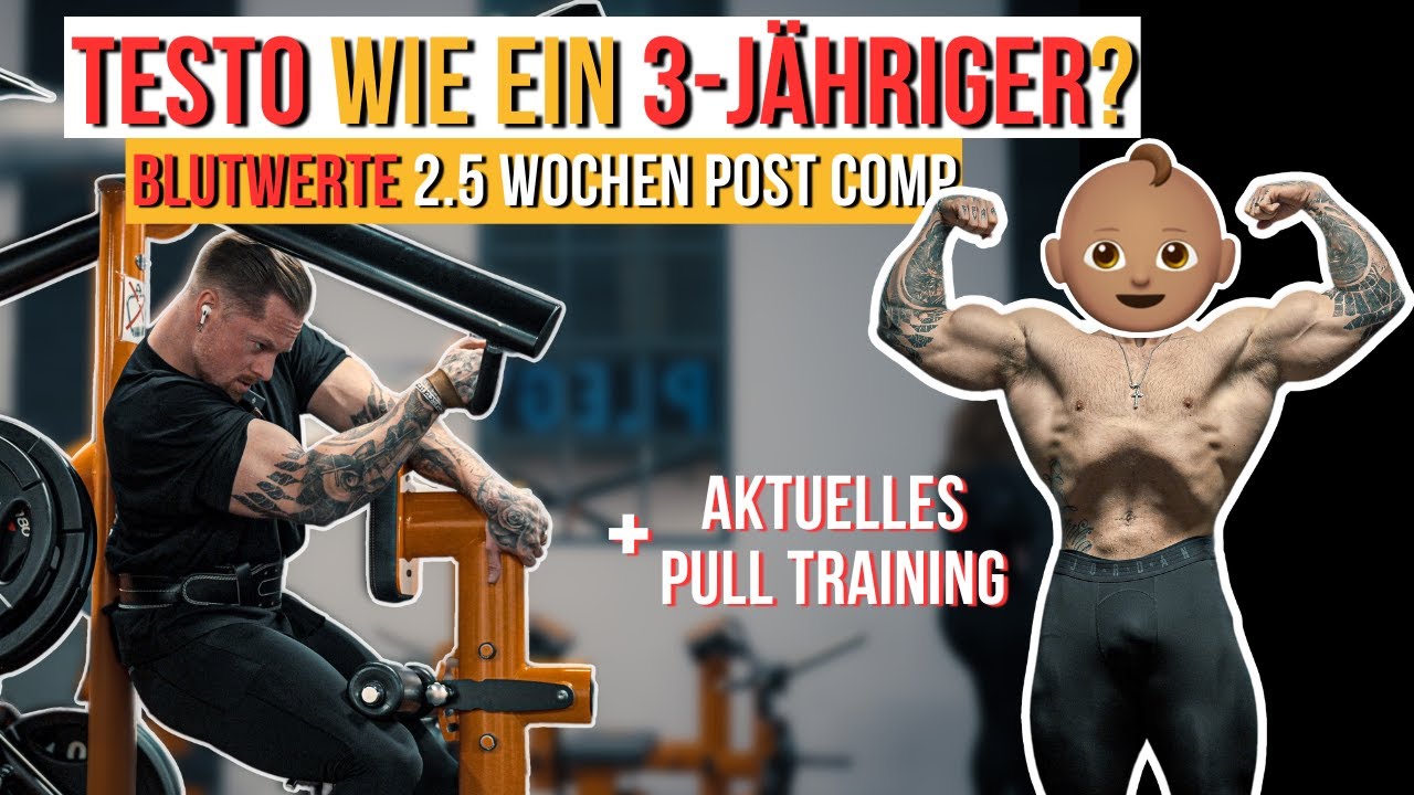 Testo wie ein 3-jähriger? 👶🏽 Aktuelle Blutwerte und Start der ...