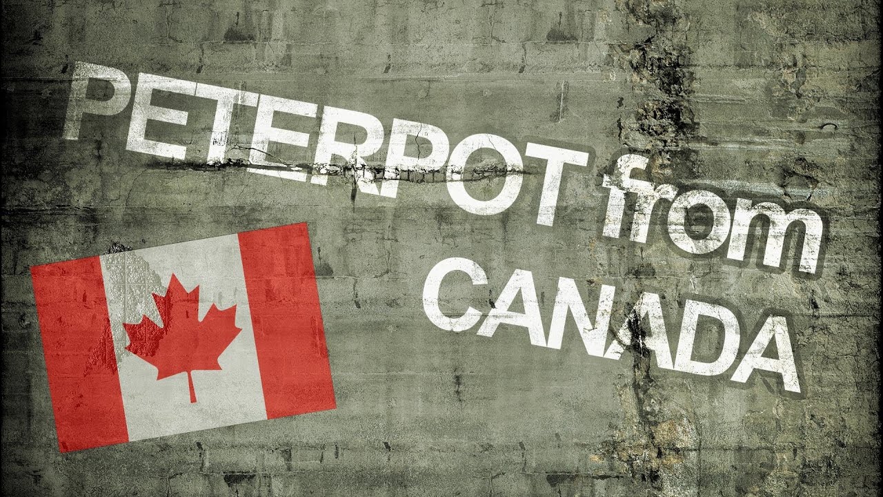 iBeatboxer PETERPOT from Canada - YouTube