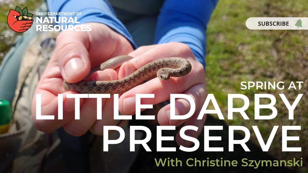 Spring at Little Darby Preserve with Christine Szymanski - YouTube