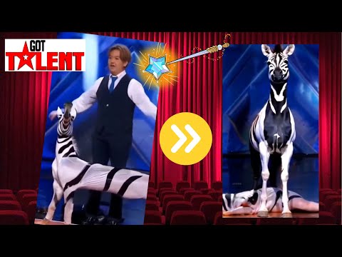 🎩 AMERICA'S GOT TALENT: Mágico se transforma em uma Zebra diante de Simon Cowell 🦓