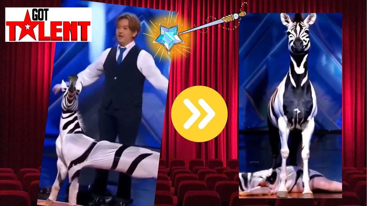 🎩 AMERICA'S GOT TALENT: Mágico se transforma em uma Zebra diante de ...