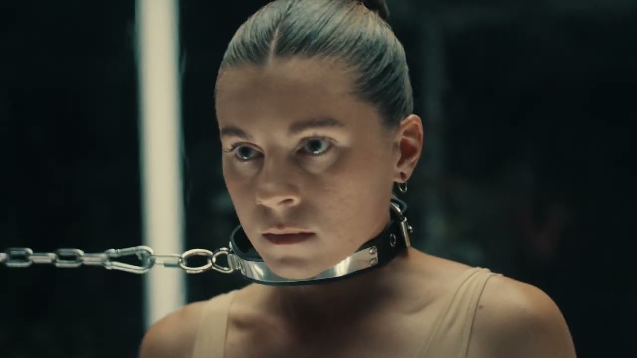 PVRIS - ANIMAL (OFFICIAL MUSIC VIDEO) - YouTube Music